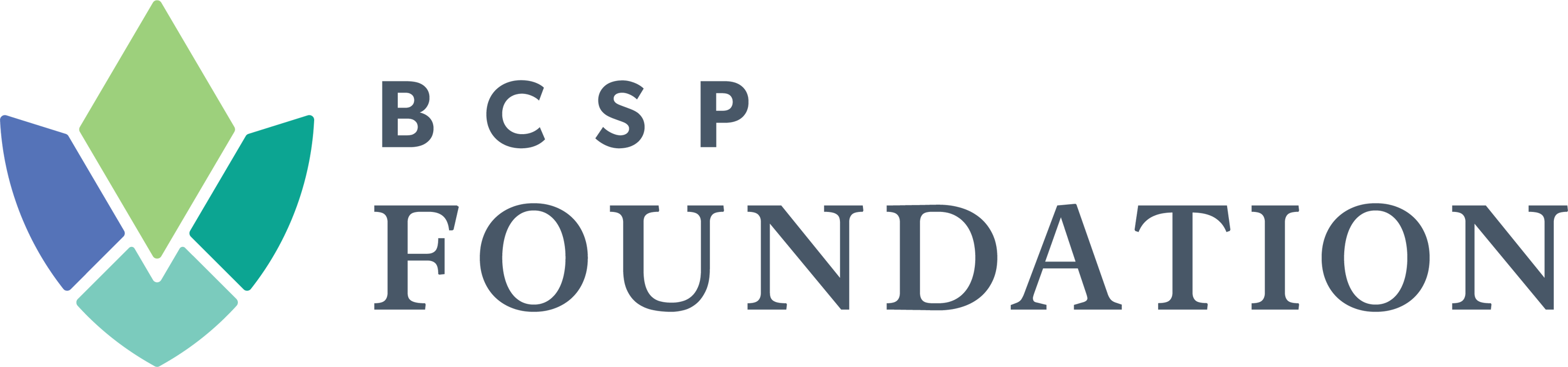 Our Impact | BCSP